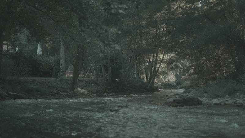 Curvage+Clips Videos, Download The BEST Free 4k Stock Video Footage & Curvage+Clips HD Video Clips