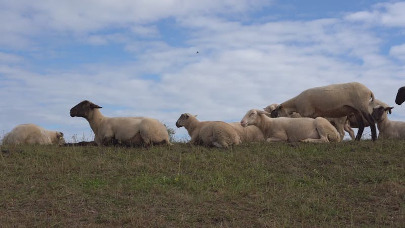 Dudetl+Accidentally+Breeding+A+Cosplayer Videos, Download The BEST Free ...