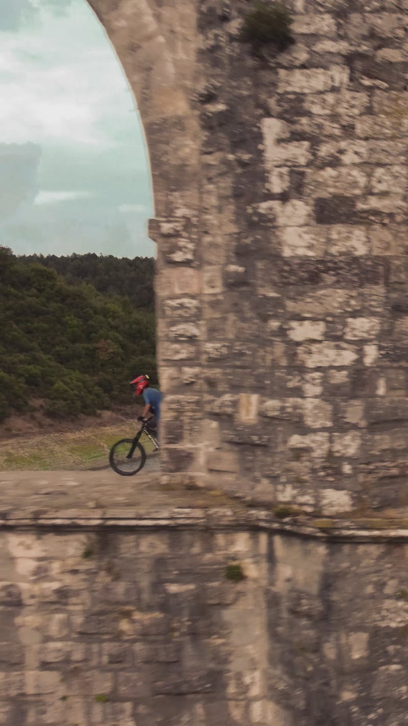 Coccozella+Beach+Video Videos, Download The BEST Free 4k Stock Video ...