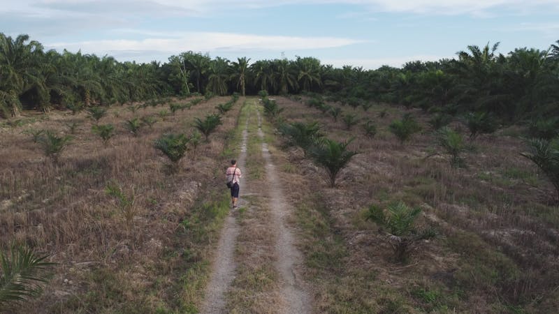 Yololary+Taking+Off+Her+Spider+Man+Suit Videos, Download The BEST Free ...