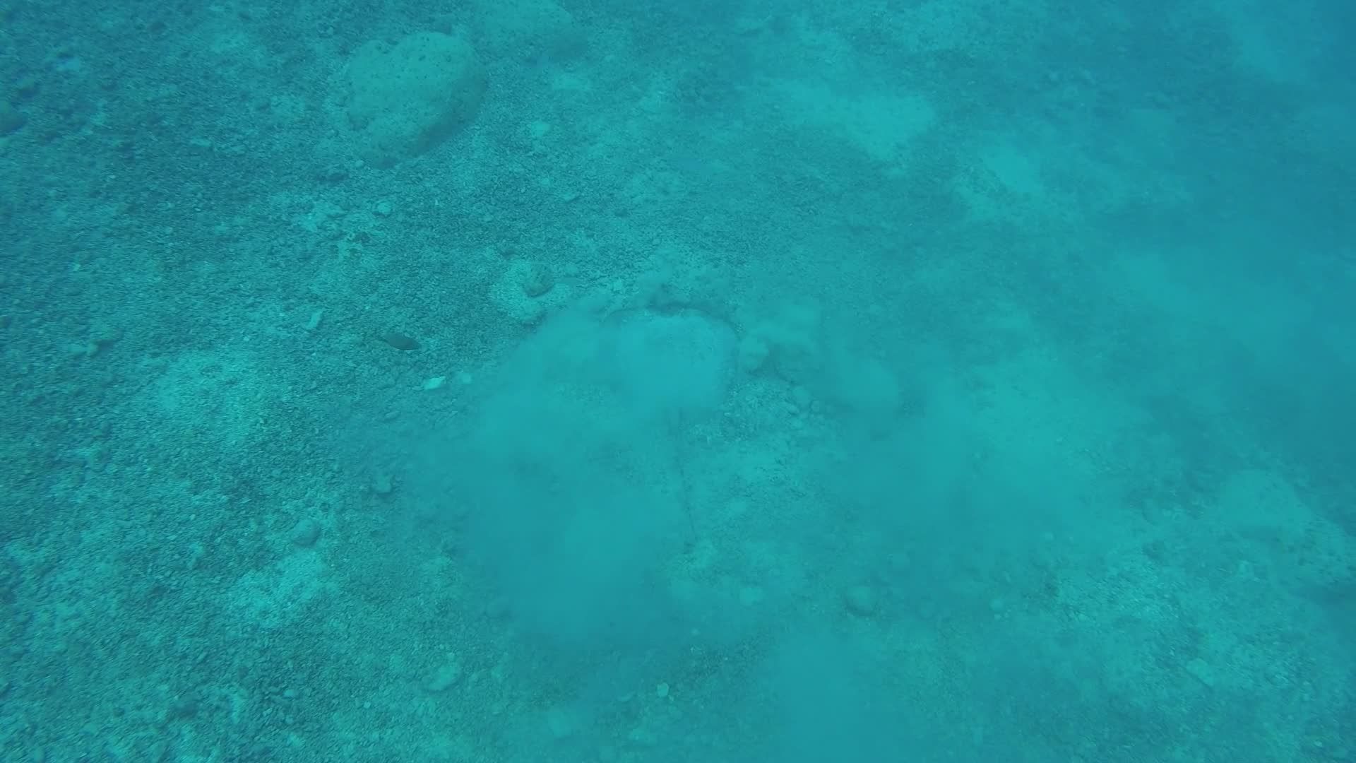 Underwater Ocean Floor with Sand Movement Free Stock Video Footage ...