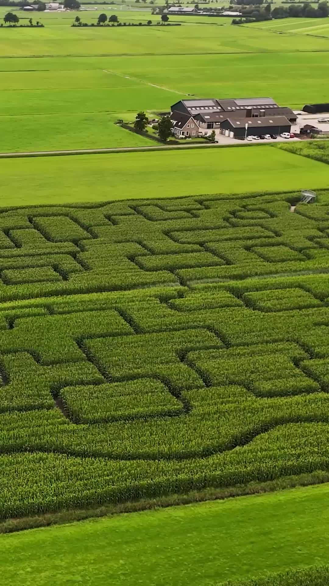 Stuck In Maze Videos, Download The BEST Free 4k Stock Video Footage ...