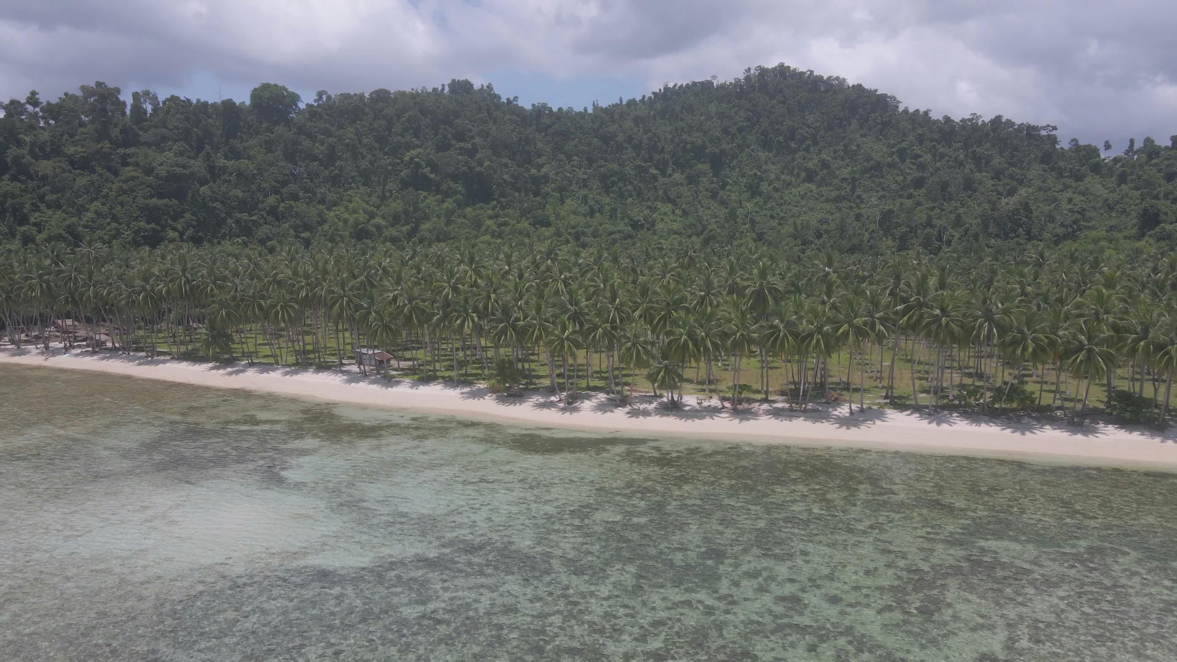 Asian+Women+Dance+In+Strip+Club Videos, Download The BEST Free 4k Stock ...