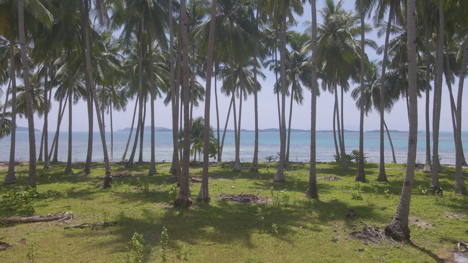 Beach+Spy+Hd Videos, Download The BEST Free 4k Stock Video Footage & Beach+Spy+Hd HD Video Clips