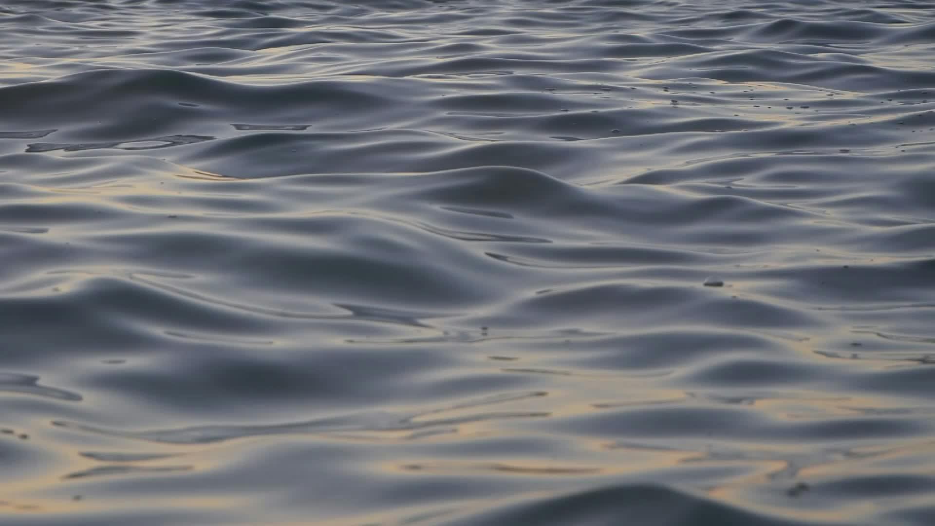 Deep Sea Dark Videos, Download The BEST Free 4k Stock Video Footage ...