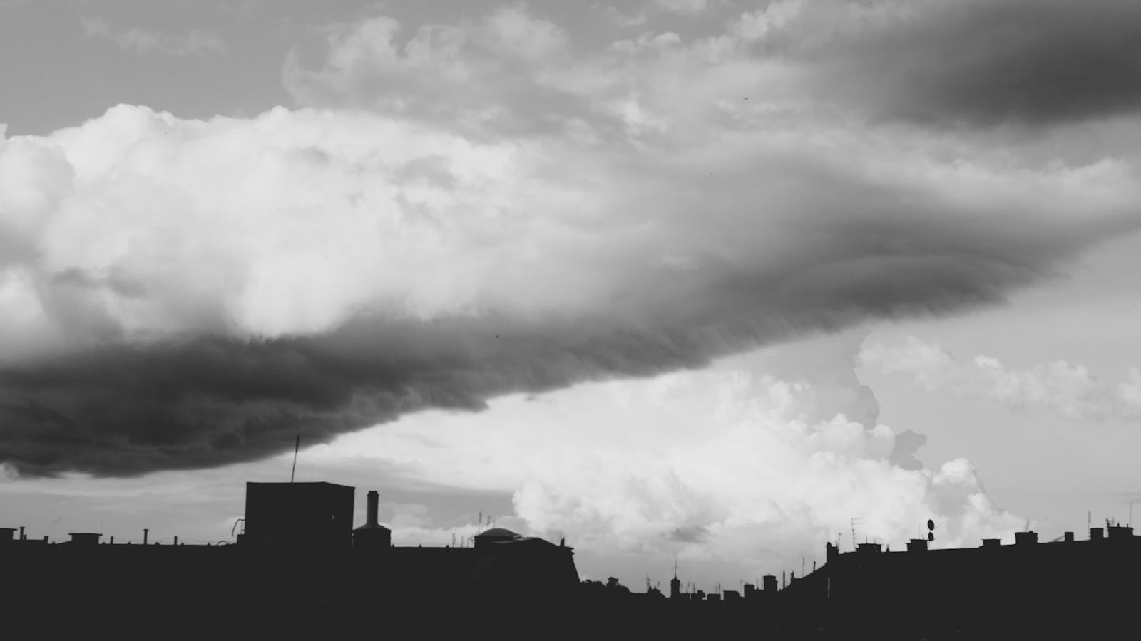 Black+Twerk+Compilation Videos, Download The BEST Free 4k Stock Video ...