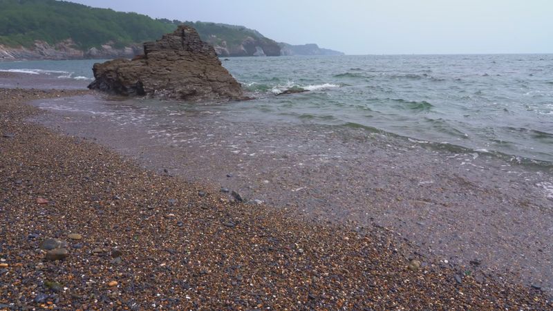Man With Boner On Beach Videos Download The Best Free 4k Stock Video Footage And Man With Boner