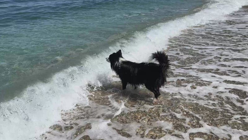 Black+Twerk+Compilation Videos, Download The BEST Free 4k Stock Video ...