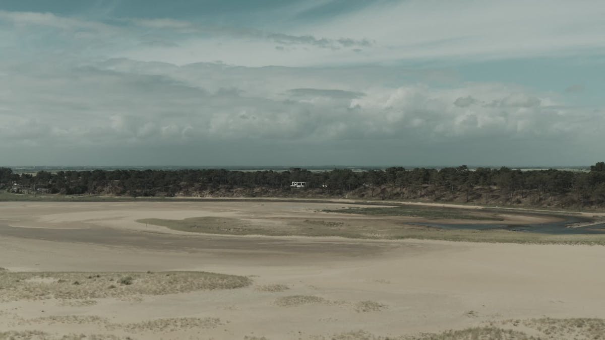 Ffm+Video Videos, Download The BEST Free 4k Stock Video Footage & Ffm ...