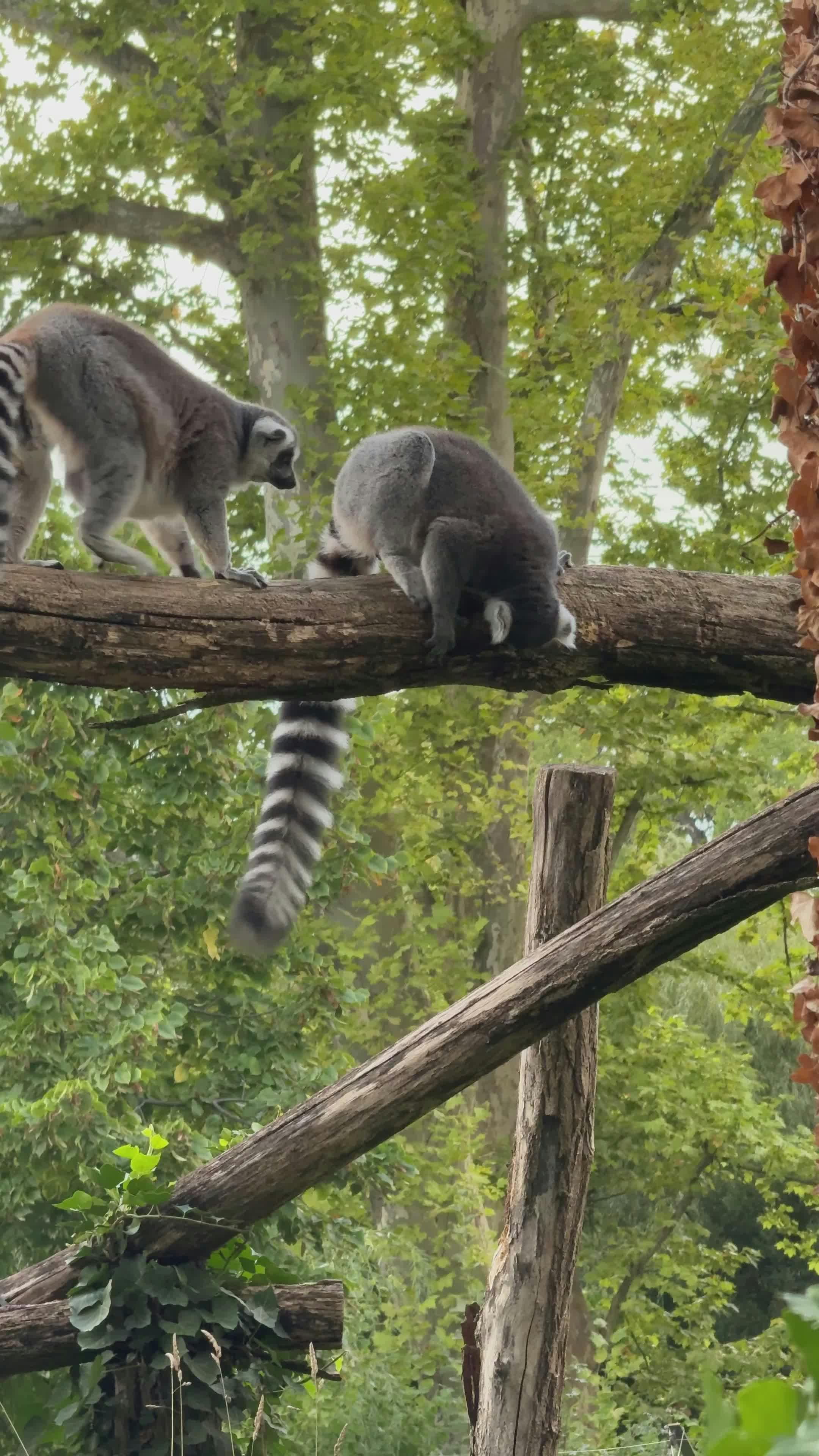 Fake+Camera+Security+Prank Videos, Download The BEST Free 4k Stock ...