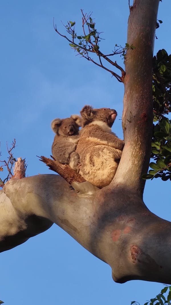 Indian+Bp+Video+Sexy+Sexy Videos, Download The BEST Free 4k Stock Video ...