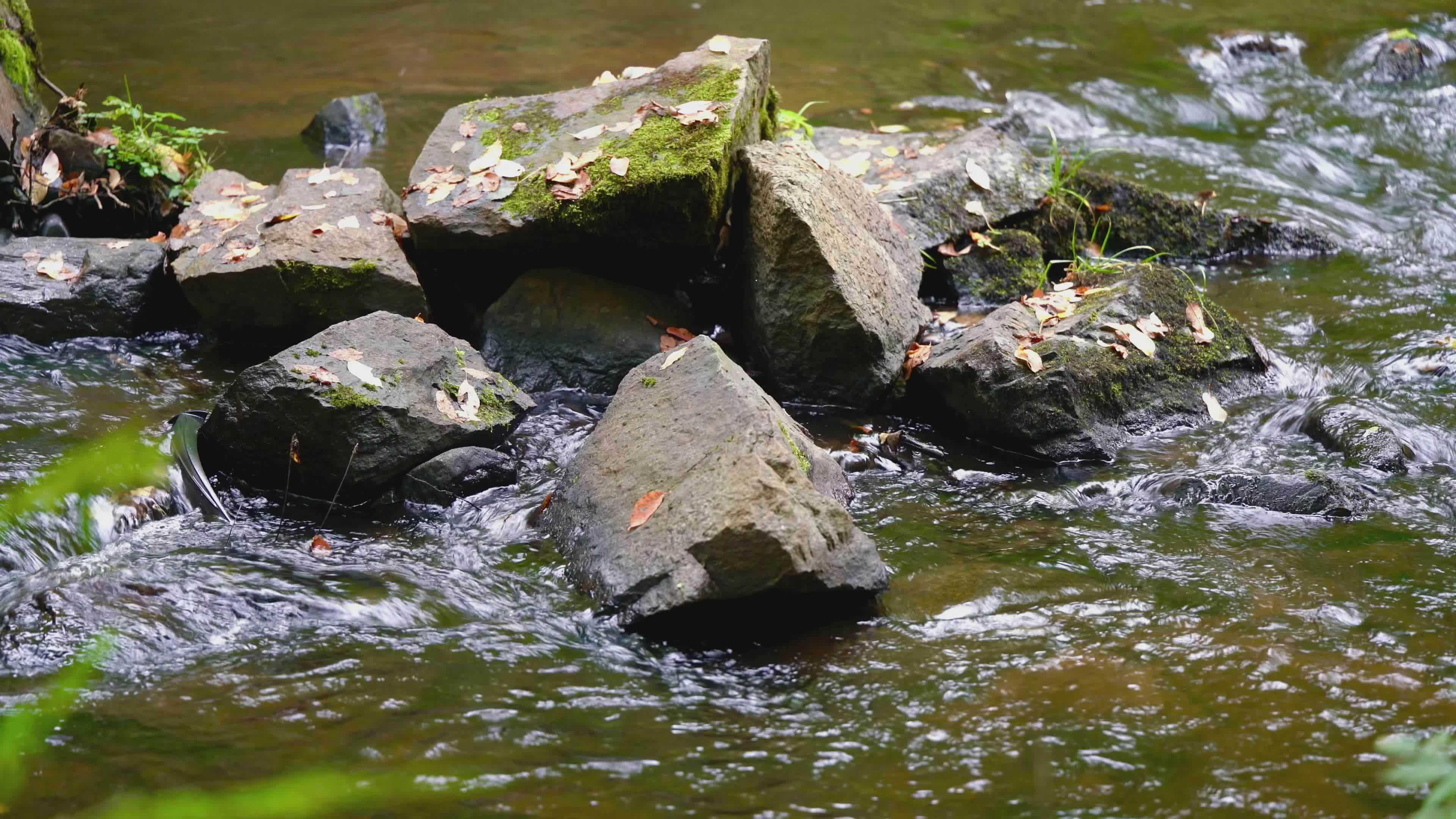 Calming Nature Videos, Download The BEST Free 4k Stock Video Footage ...