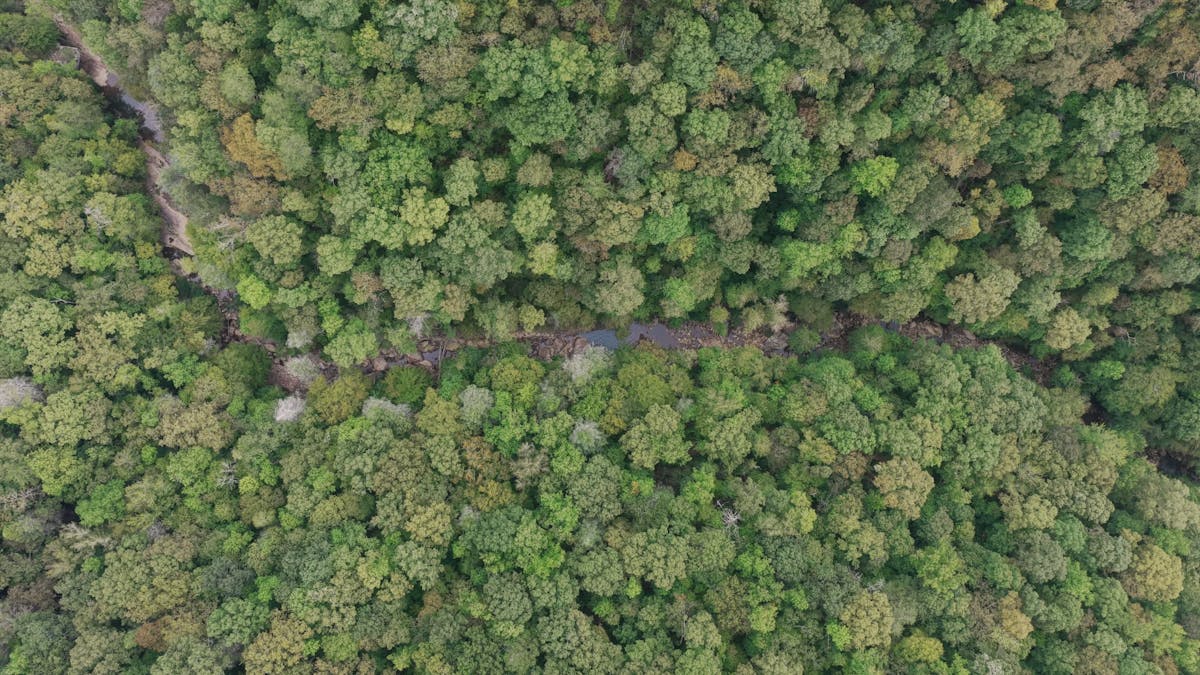 Big+Spicy+Butts Videos, Download The BEST Free 4k Stock Video Footage ...