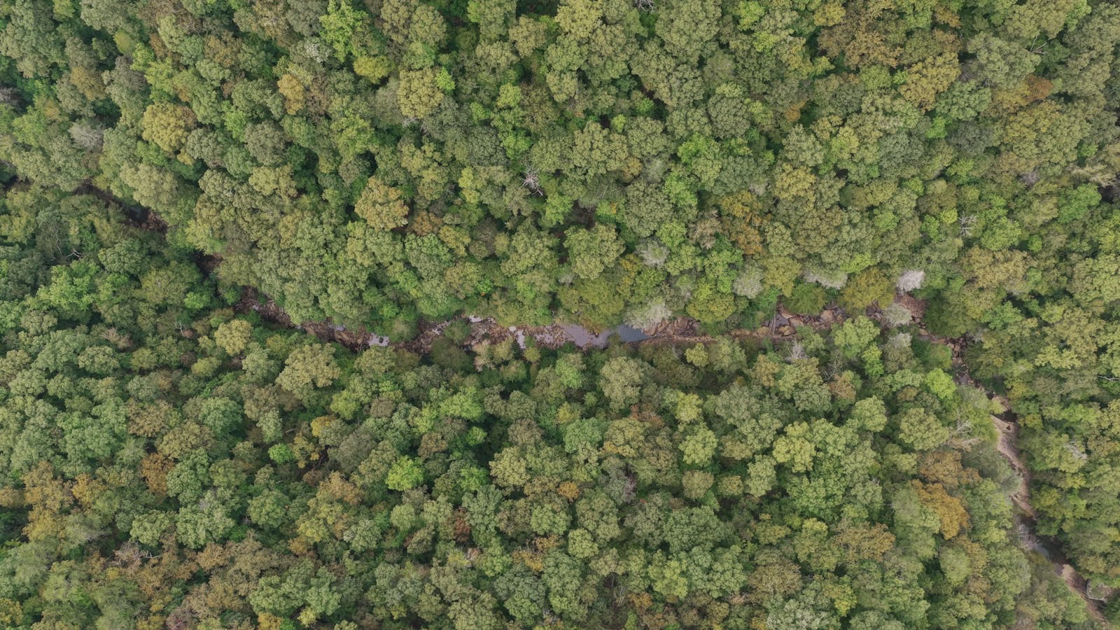 Big+Spicy+Butts Videos, Download The BEST Free 4k Stock Video Footage ...