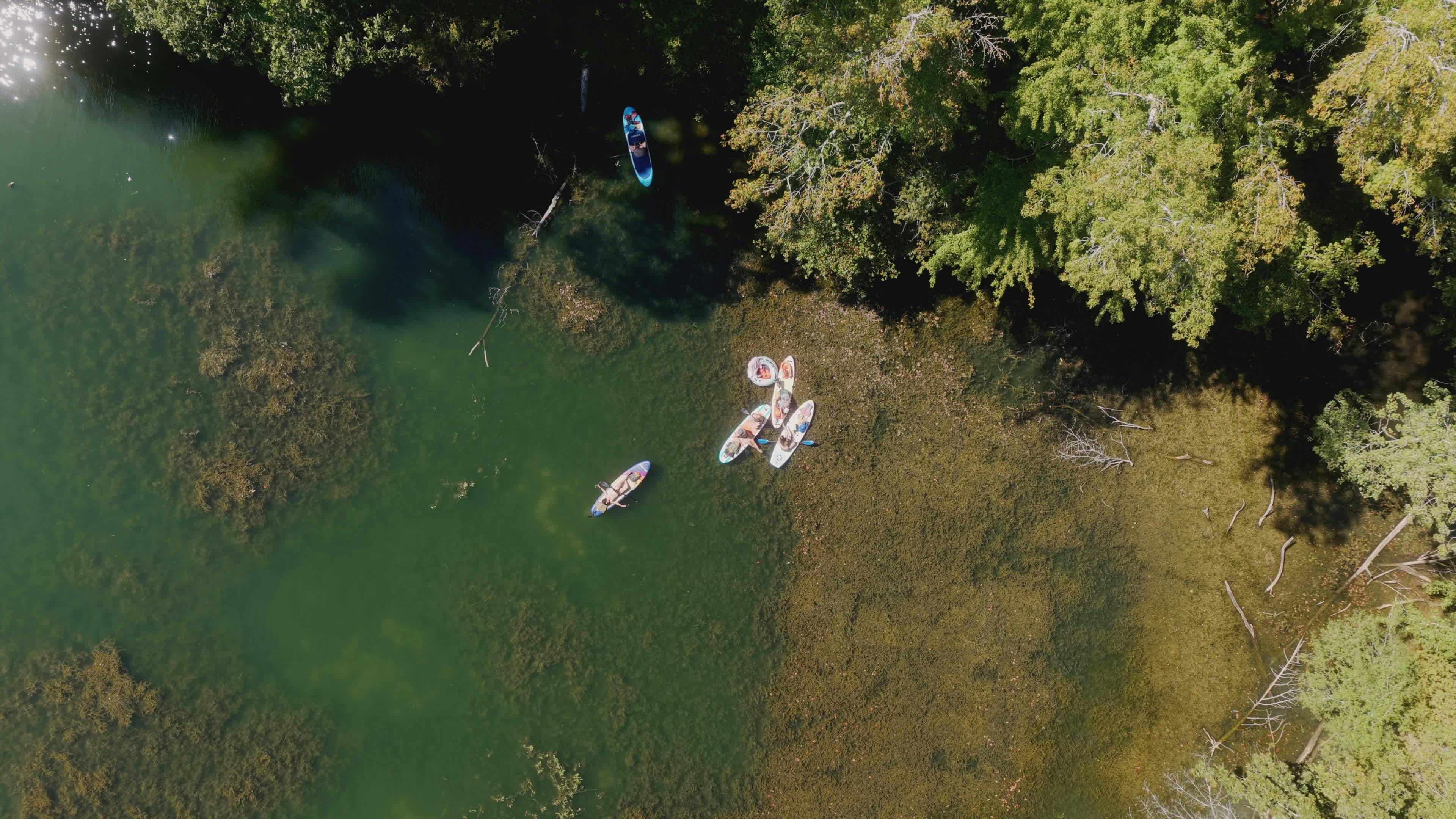 Human+Intercourse Videos, Download The BEST Free 4k Stock Video Footage ...