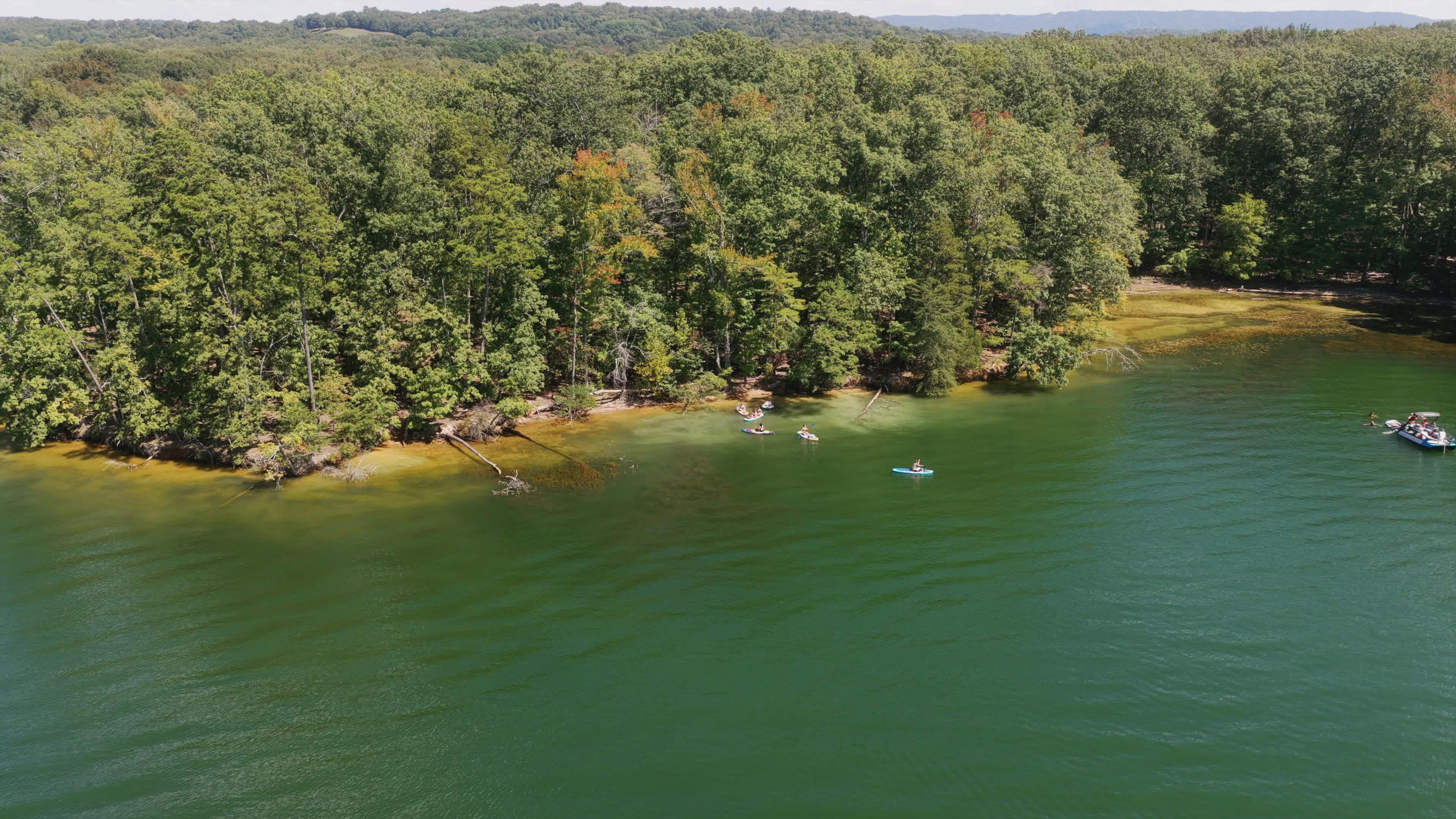 Belle+Delphine+In+The+Forest Videos, Download The BEST Free 4k Stock Video Footage & Belle ...