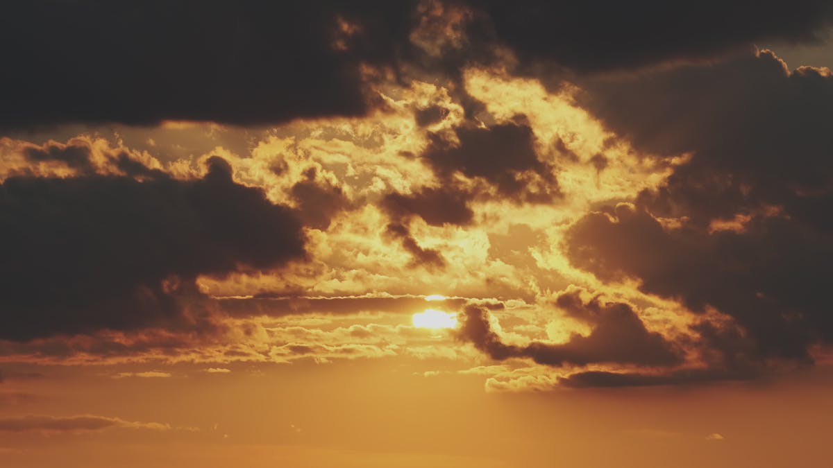 Dog+Looking+At+Sunset+With+Eyes+Closed+Meme Videos, Download The BEST ...