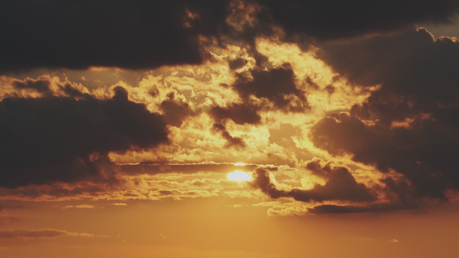 Dog+Looking+At+Sunset+With+Eyes+Closed+Meme Videos, Download The BEST ...