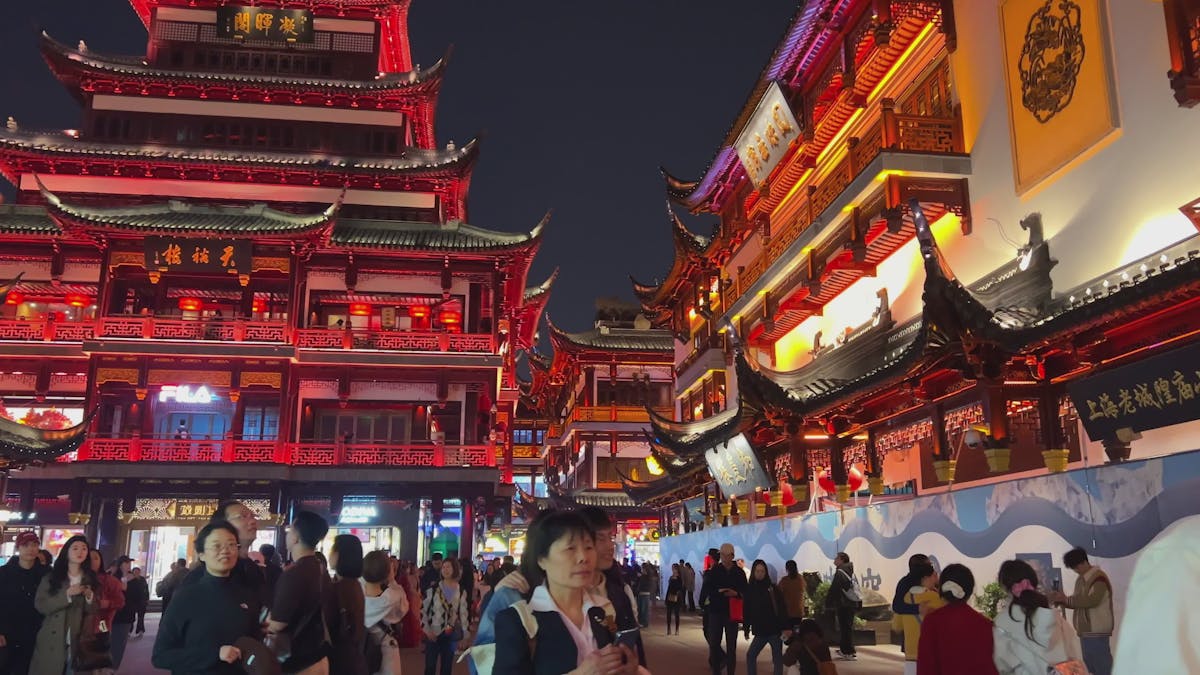 Thick+Light+Skin+Back+Shots Videos, Download The BEST Free 4k Stock ...