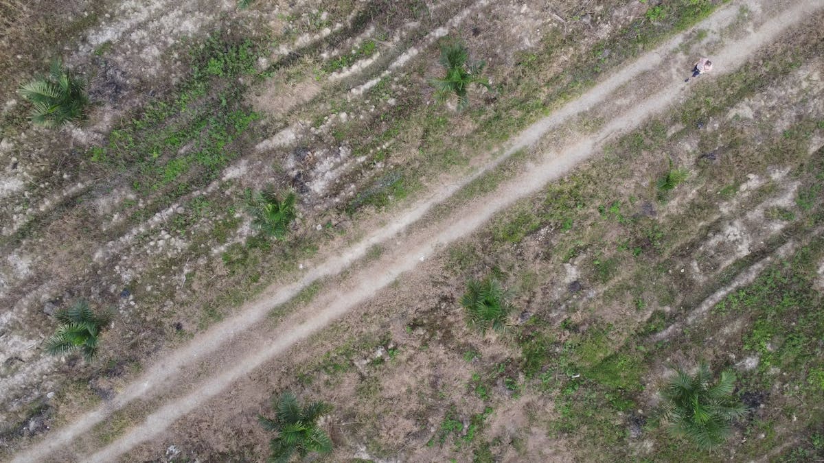 Step+Daughter+Walks+In+On+Dad+Taking+A+Shower Videos, Download The BEST Free 4k Stock Video ...