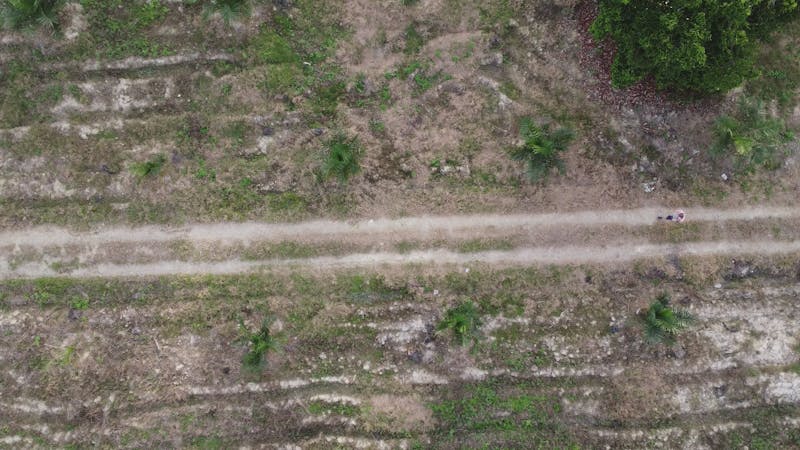 Step+Daughter+Walks+In+On+Dad+Taking+A+Shower Videos, Download The BEST Free 4k Stock Video ...