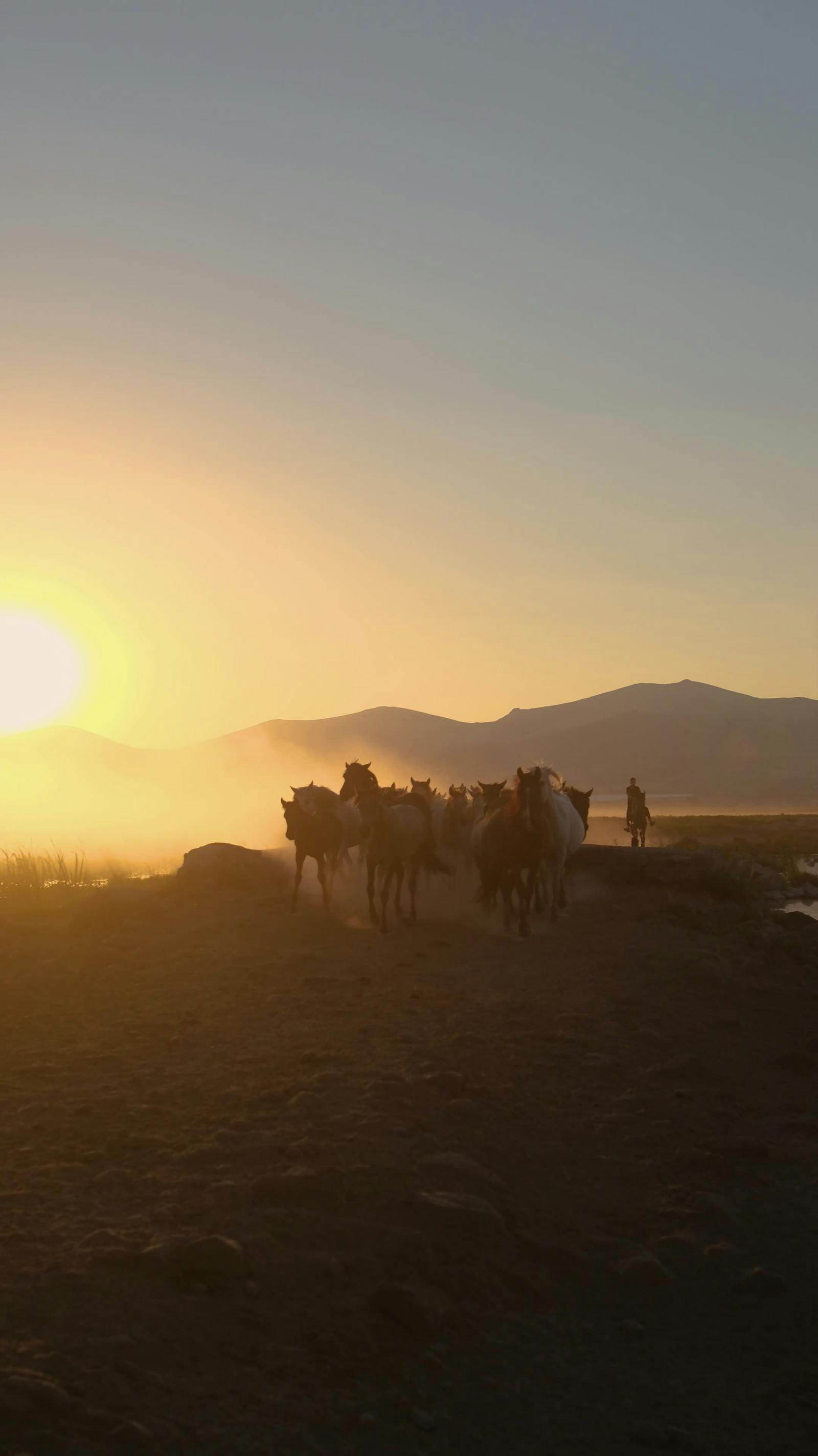 Horses Running Videos, Download The BEST Free 4k Stock Video Footage ...