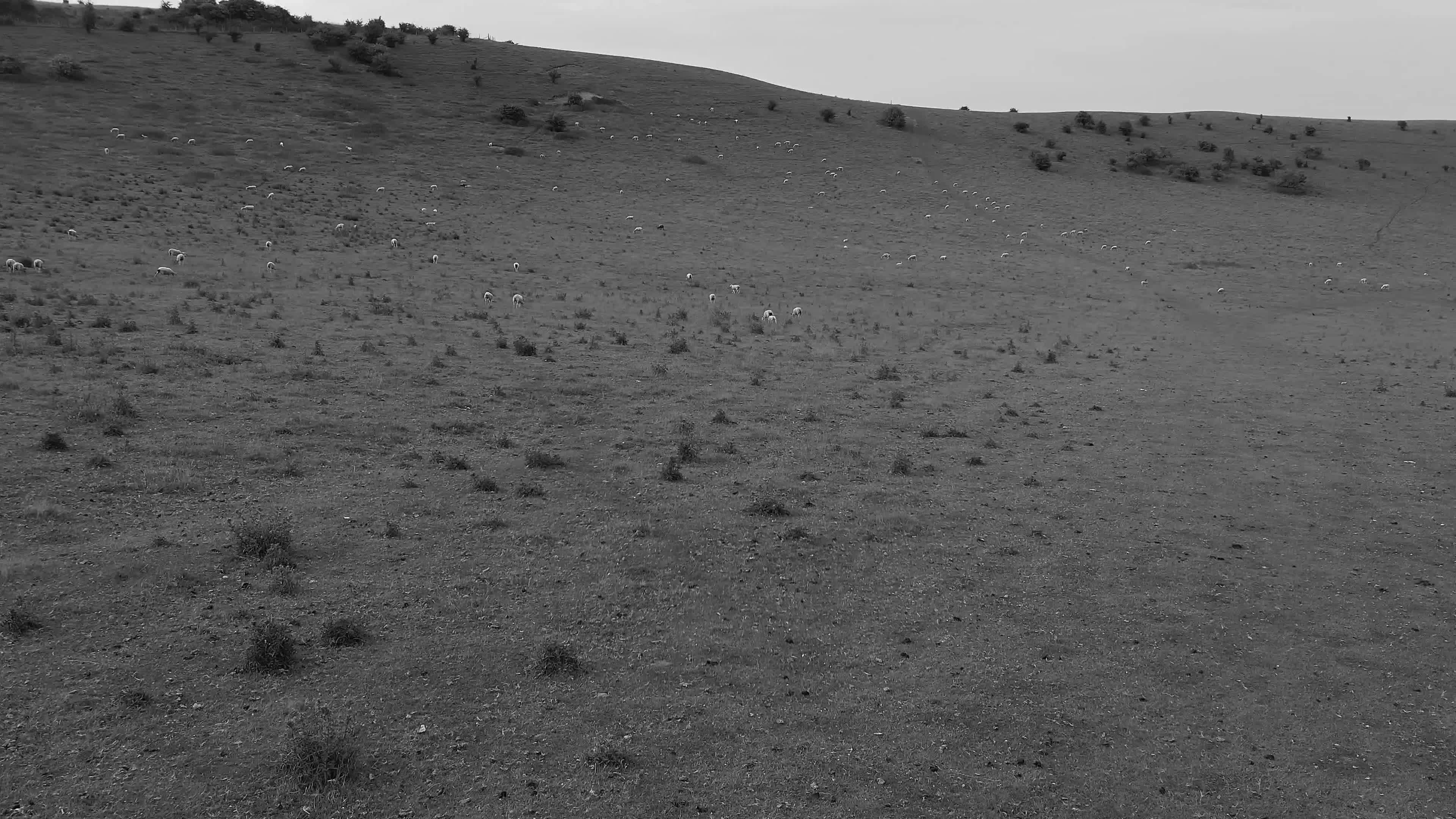 Barren Desert Landscape with Sparse Vegetation Free Stock Video Footage ...