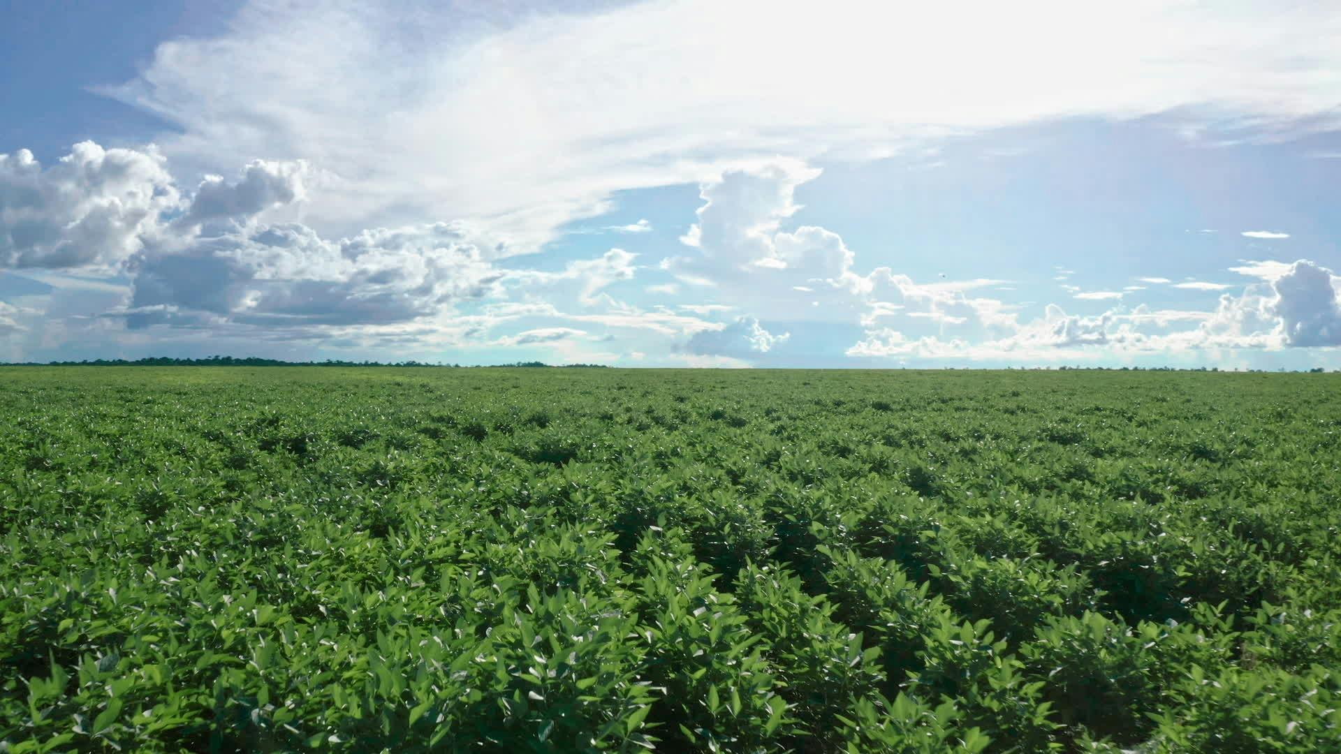 Negra+Chorando+Na+Rola+Grande Videos, Download The BEST Free 4k Stock ...