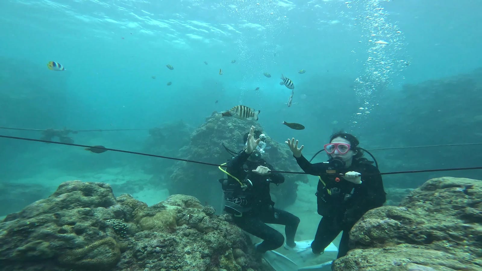 Underwater Ocean Videos, Download The BEST Free 4k Stock Video Footage ...