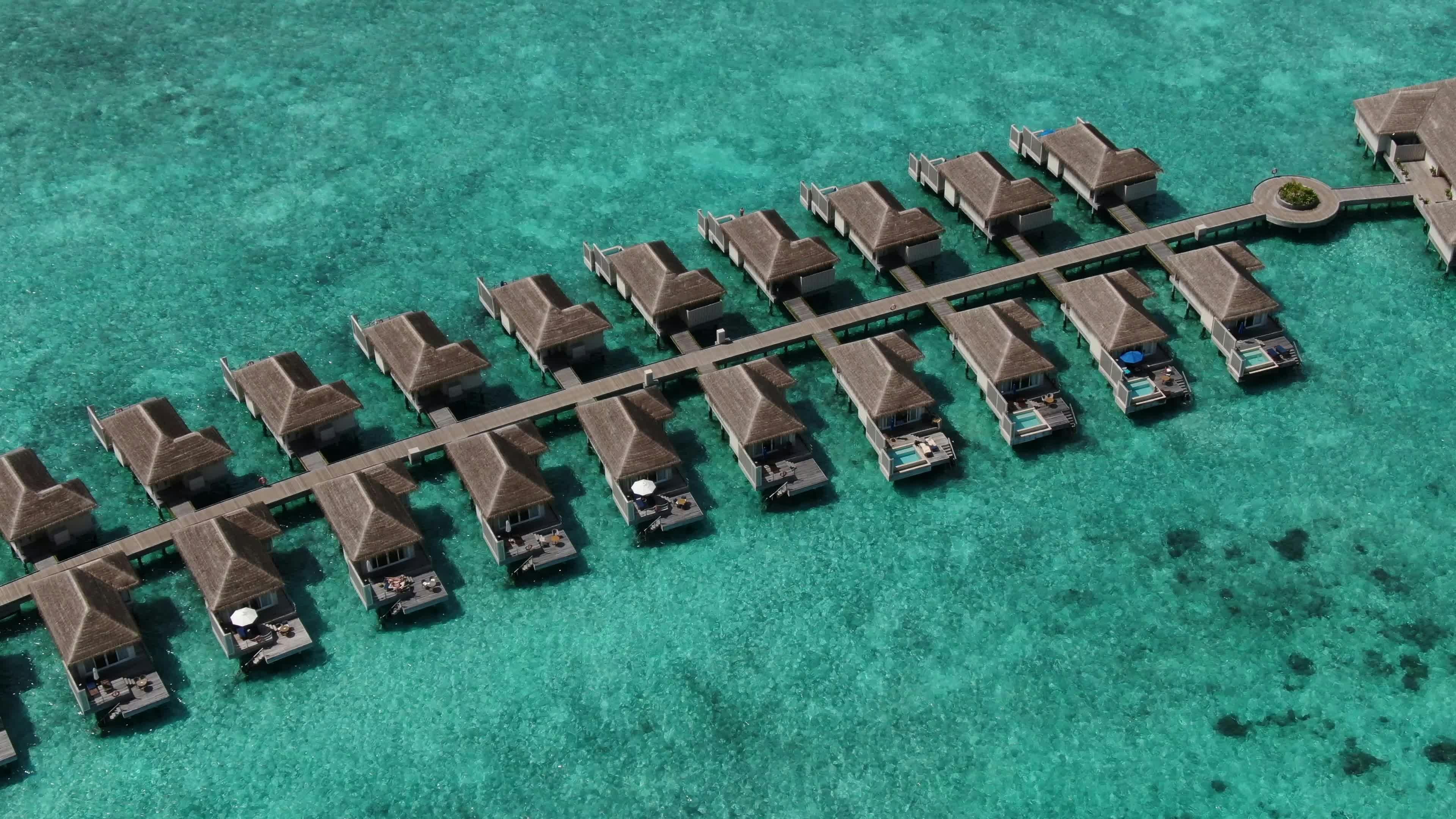 Girls+Touching+Each+Other+Private+Parts Videos, Download The BEST Free ...