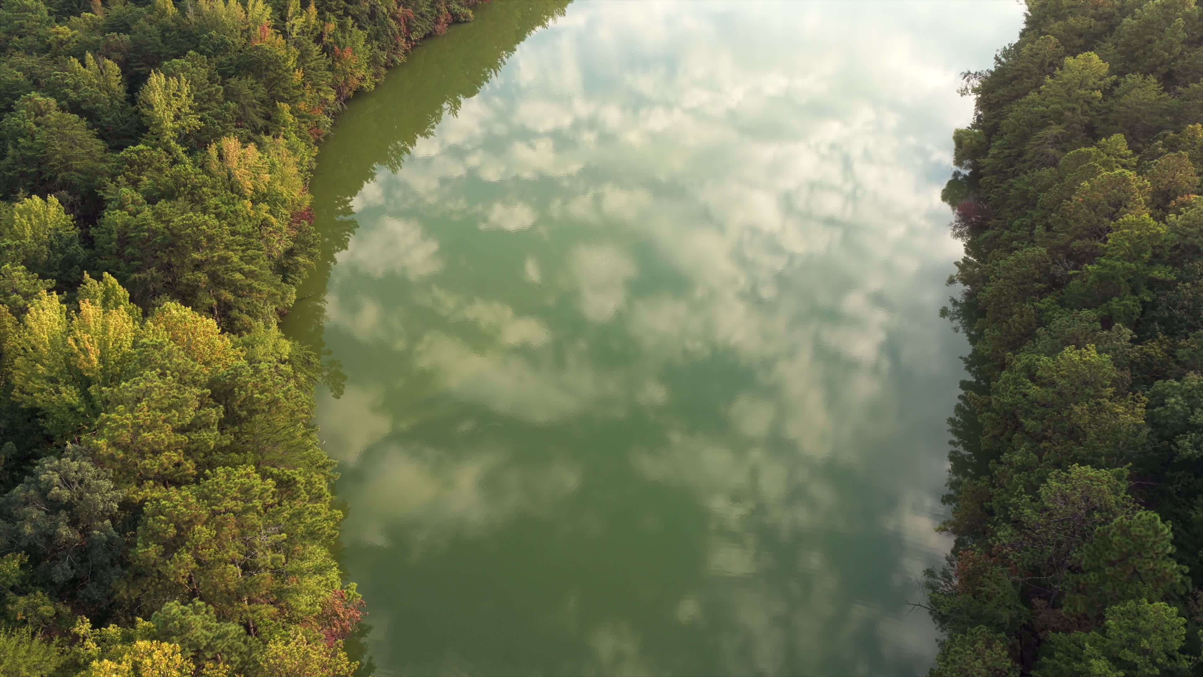 Aerial View of Vibrant River Bend Surrounded by Forest Free Stock Video ...