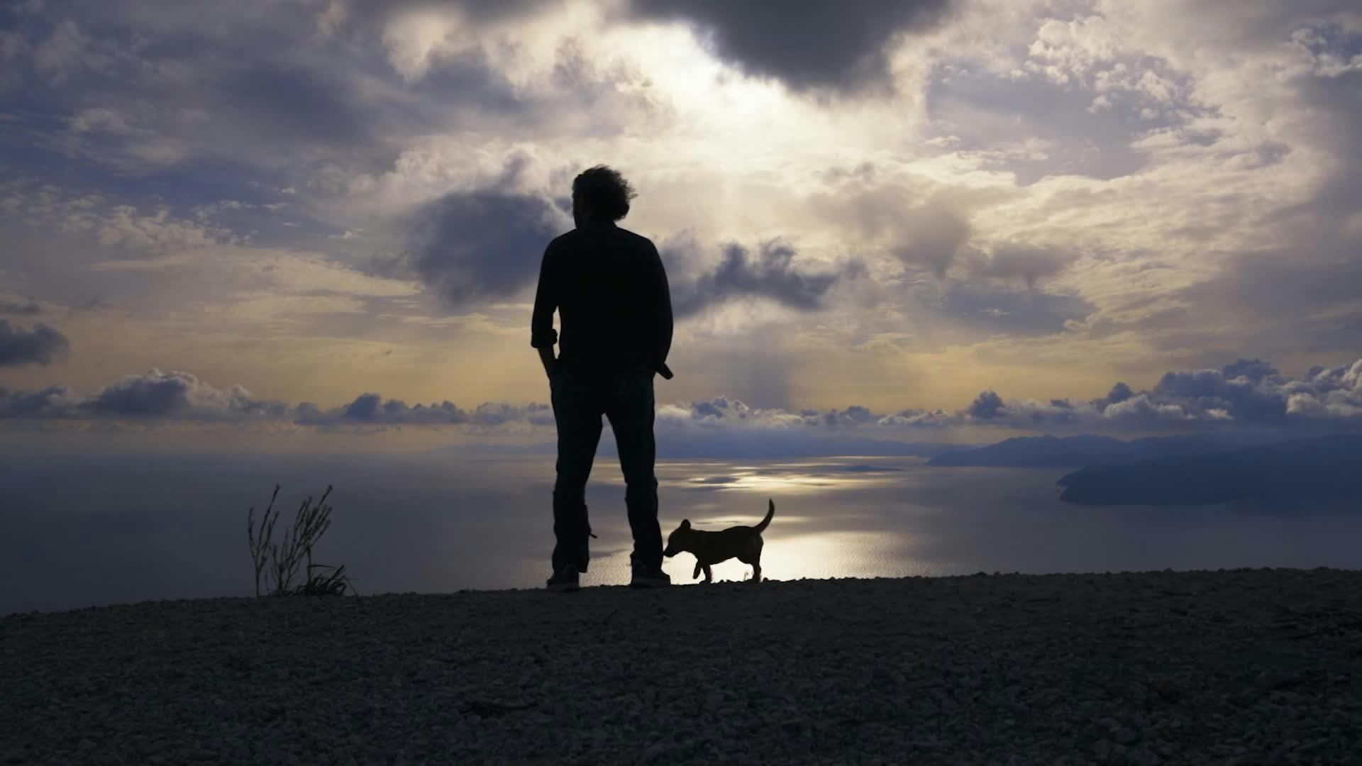 Black+Man+Twerking+Gif Videos, Download The BEST Free 4k Stock Video ...