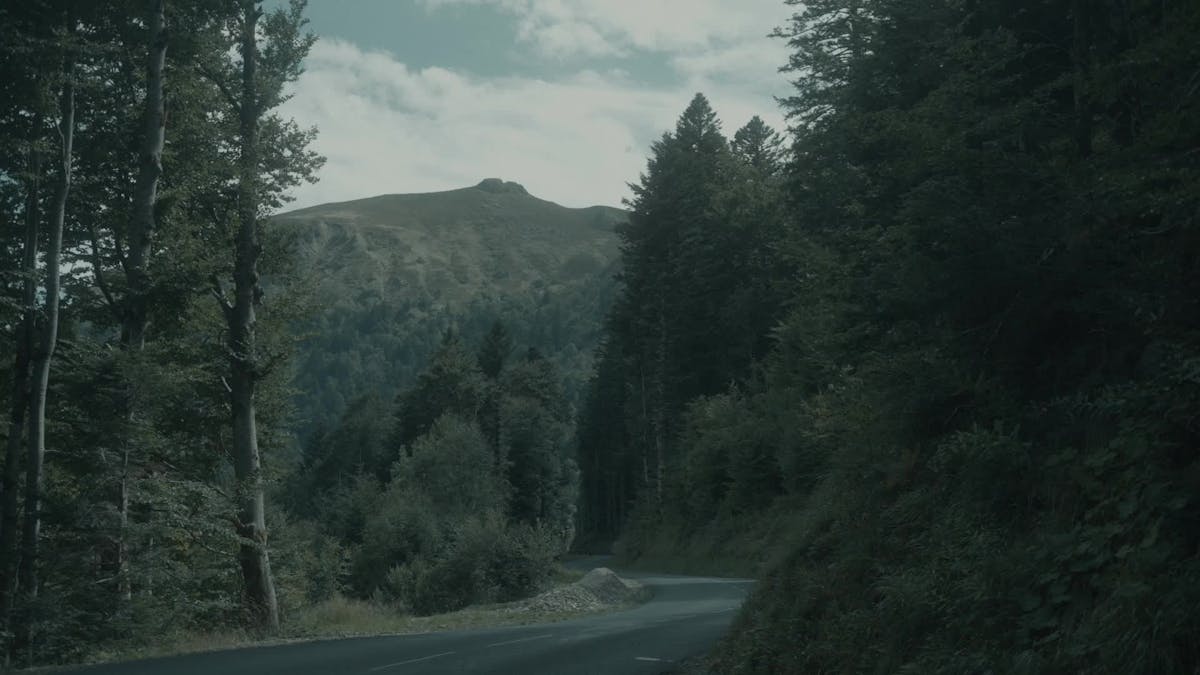 Videos+Xxl Videos, Download The BEST Free 4k Stock Video Footage & Videos+Xxl HD Video Clips