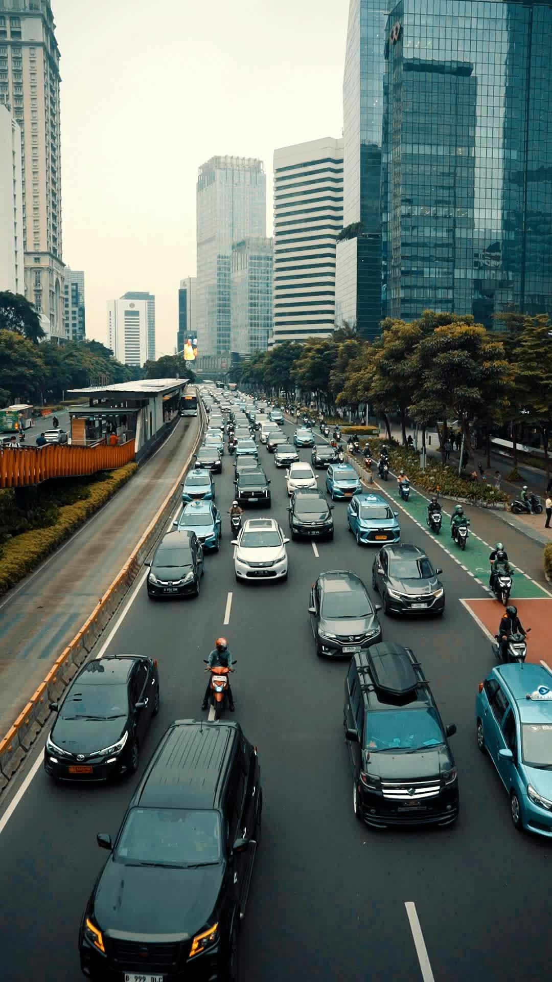 Prom+Hub+Girl Videos, Download The BEST Free 4k Stock Video Footage ...