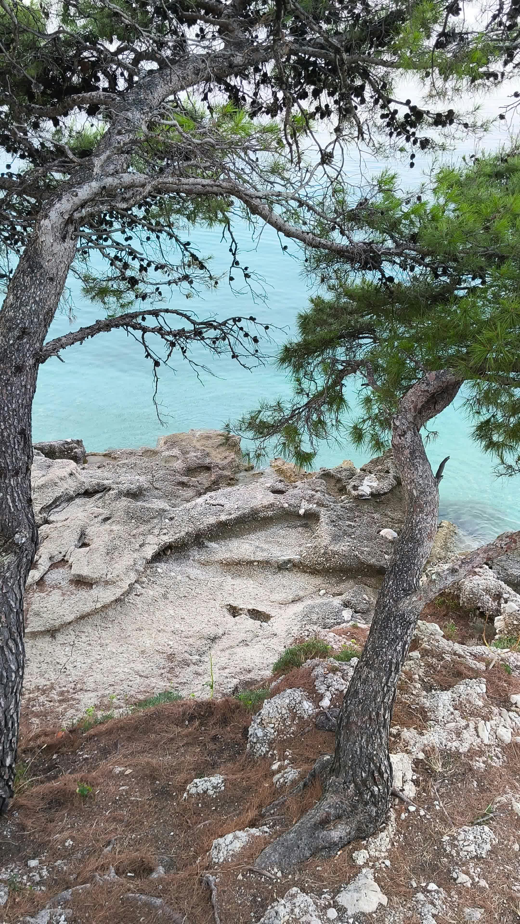 Gulf Galleggiante Videos, Download The BEST Free 4k Stock Video Footage ...