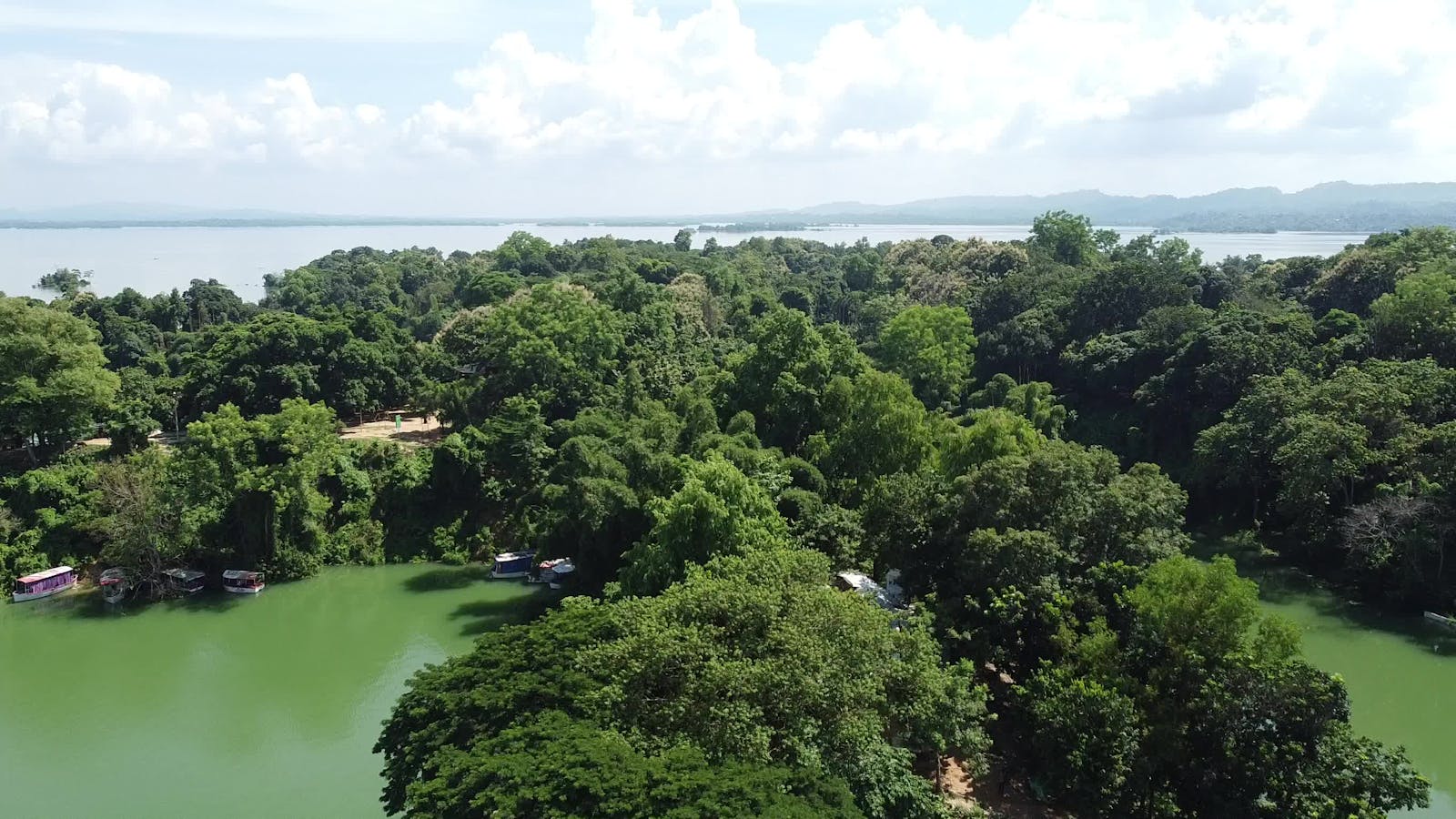 Edging+Lesbian+Female+Video Videos, Download The BEST Free 4k Stock Video Footage & Edging ...