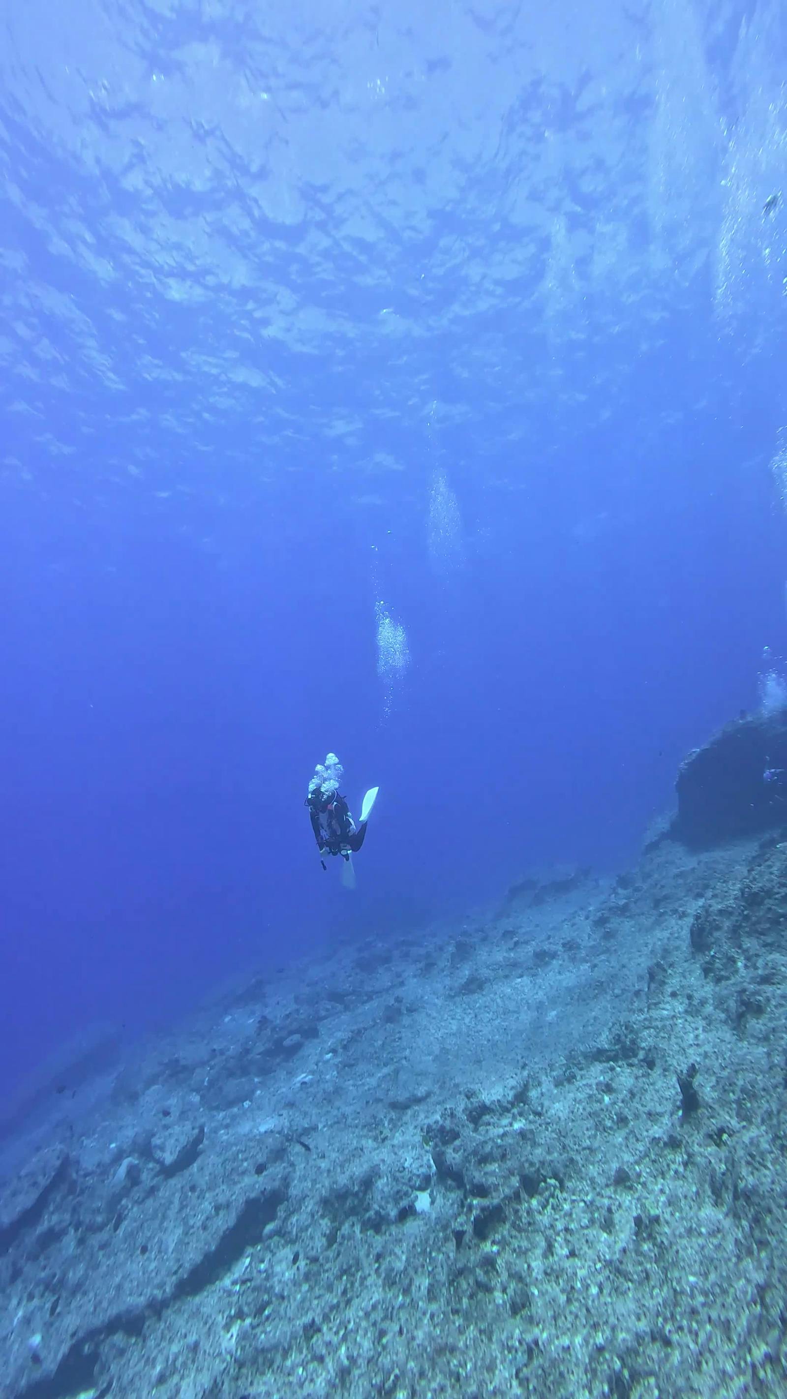 Underwater Ocean Videos, Download The BEST Free 4k Stock Video Footage ...