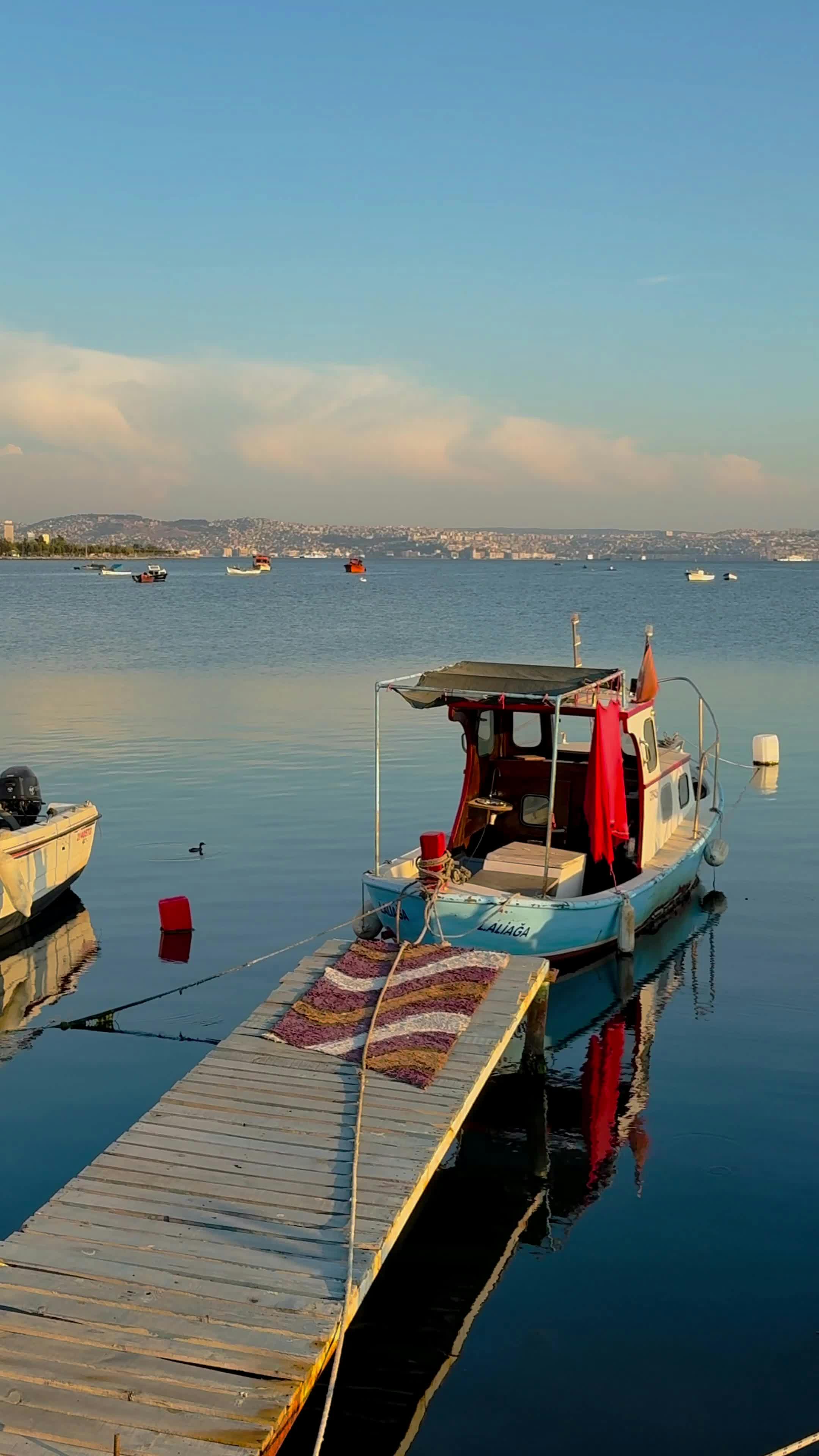 Vertical Nature Videos, Download The BEST Free 4k Stock Video Footage ...