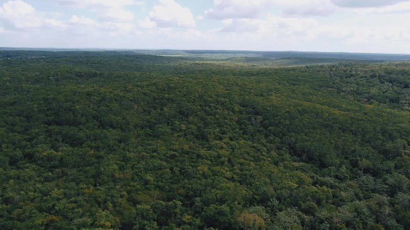 Chalne+Wala+Bf+Sexy+Video Videos, Download The BEST Free 4k Stock Video Footage & Chalne+Wala+Bf ...