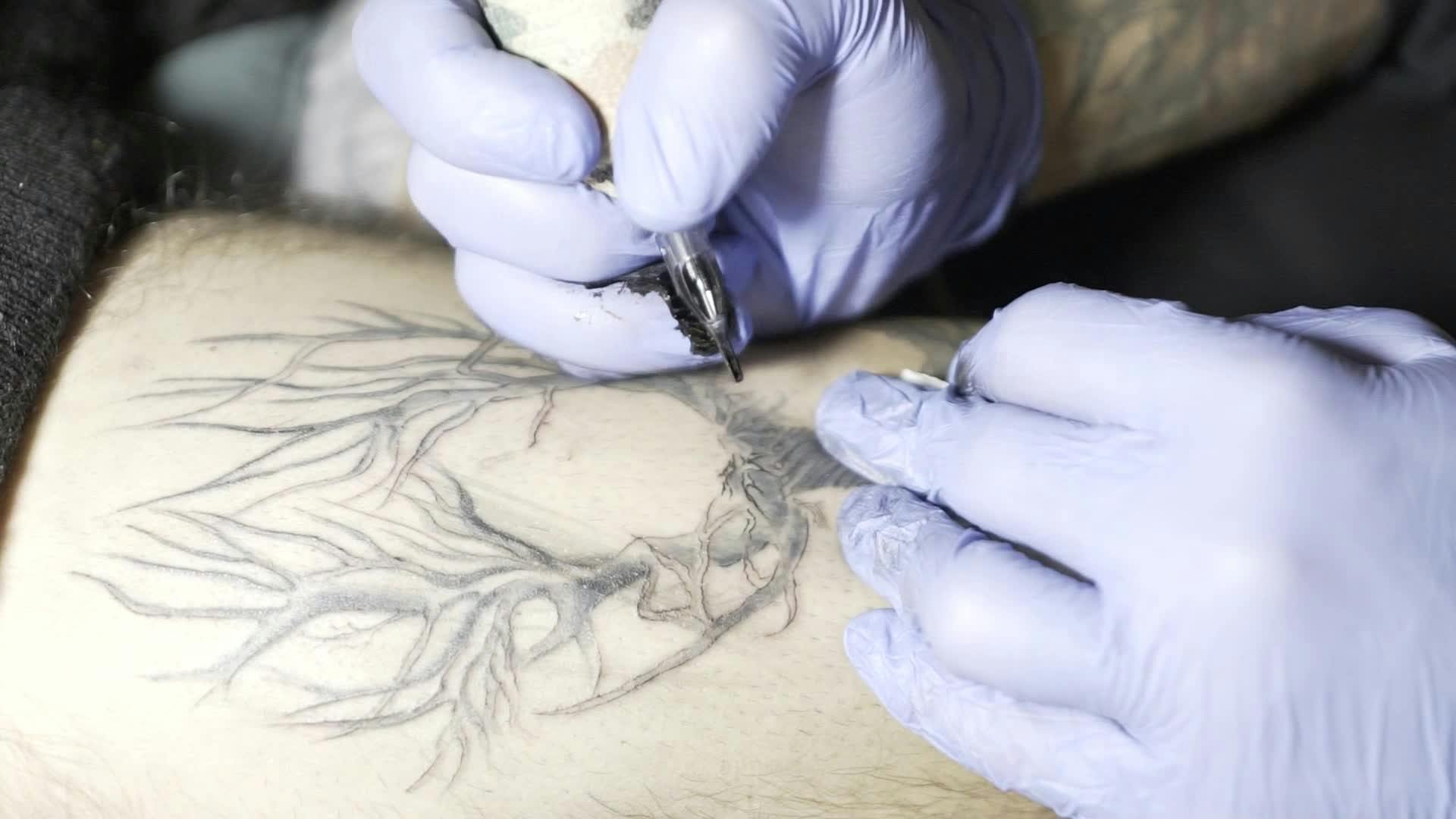 Close-Up Tattoo Process Captured Indoors Free Stock Video Footage ...