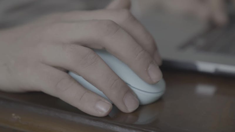 Siberian+Mouse+Mp4 Videos, Download The BEST Free 4k Stock Video ...