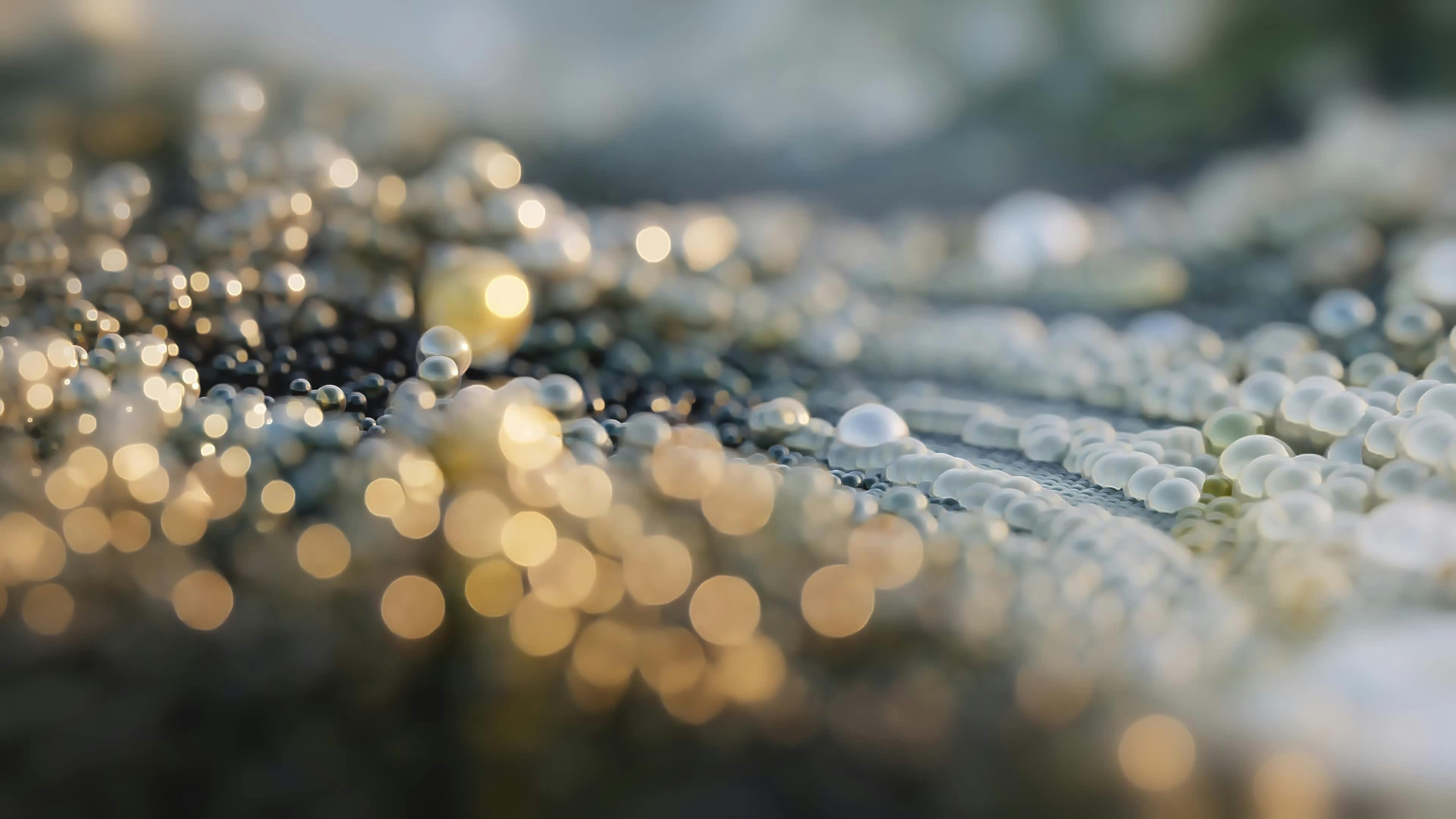 Bouncing+Beautiful+Breast Videos, Download The BEST Free 4k Stock Video ...