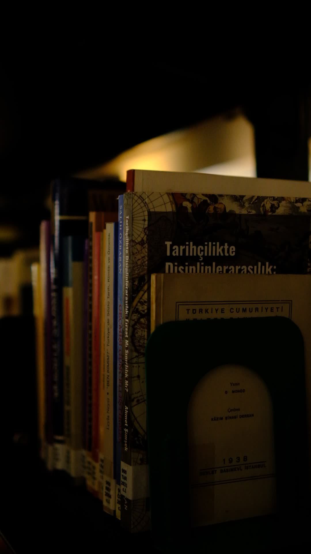 Cozy Library Bookshelf with Classic Literature Free Stock Video Footage ...