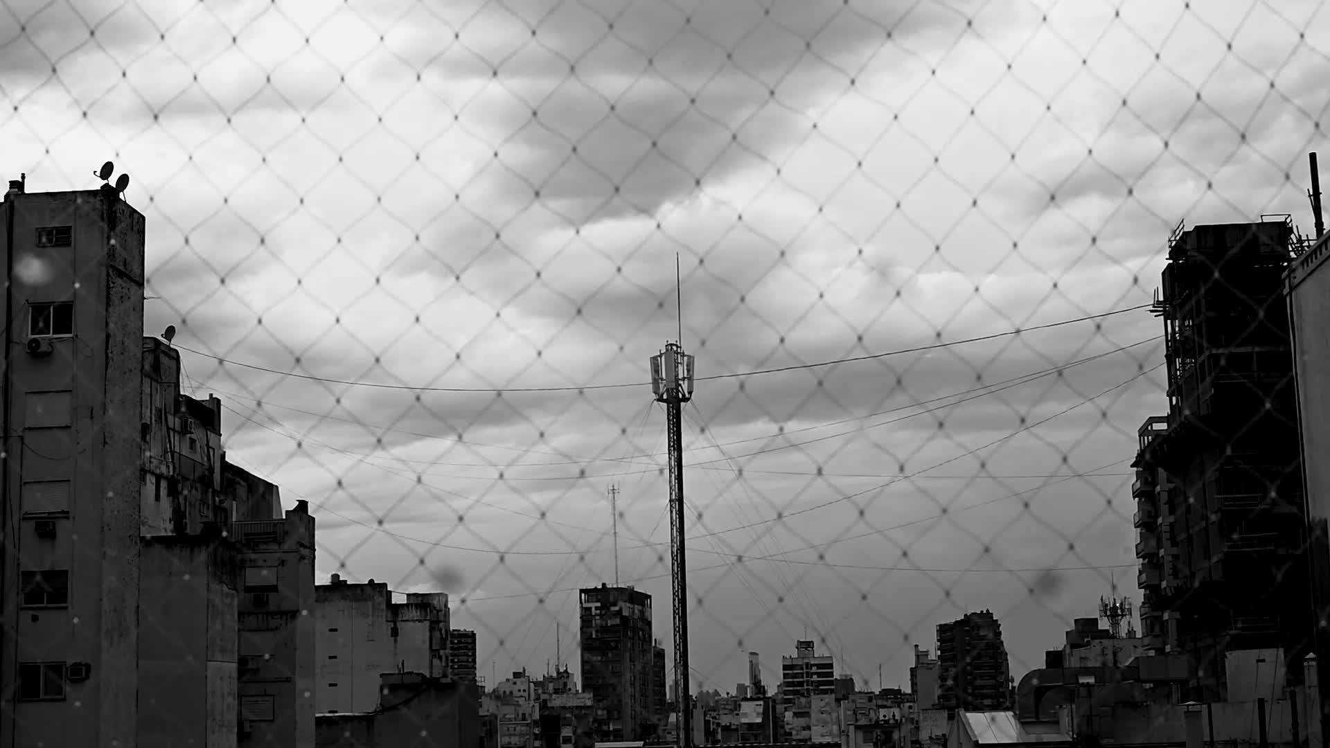 White+Twerking+Scroller Videos, Download The BEST Free 4k Stock Video ...