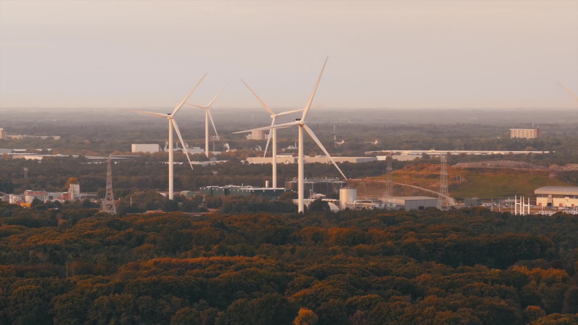 Wind Turbines at Sunrise in Dutch Landscape Free Stock Video Footage ...