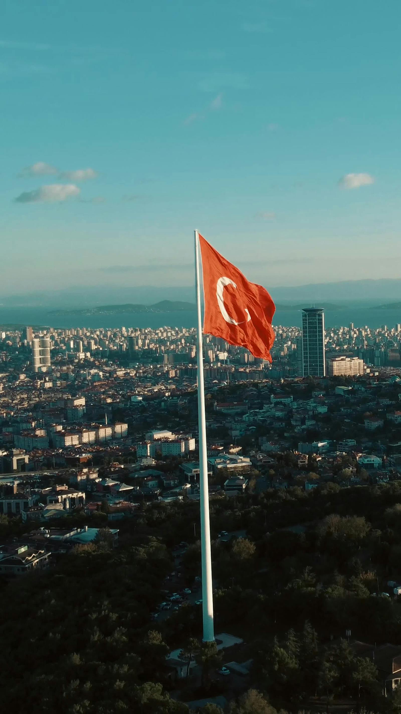 100.000+ beste Gratis Video video's · 100% gratis downloaden · Pexels ...