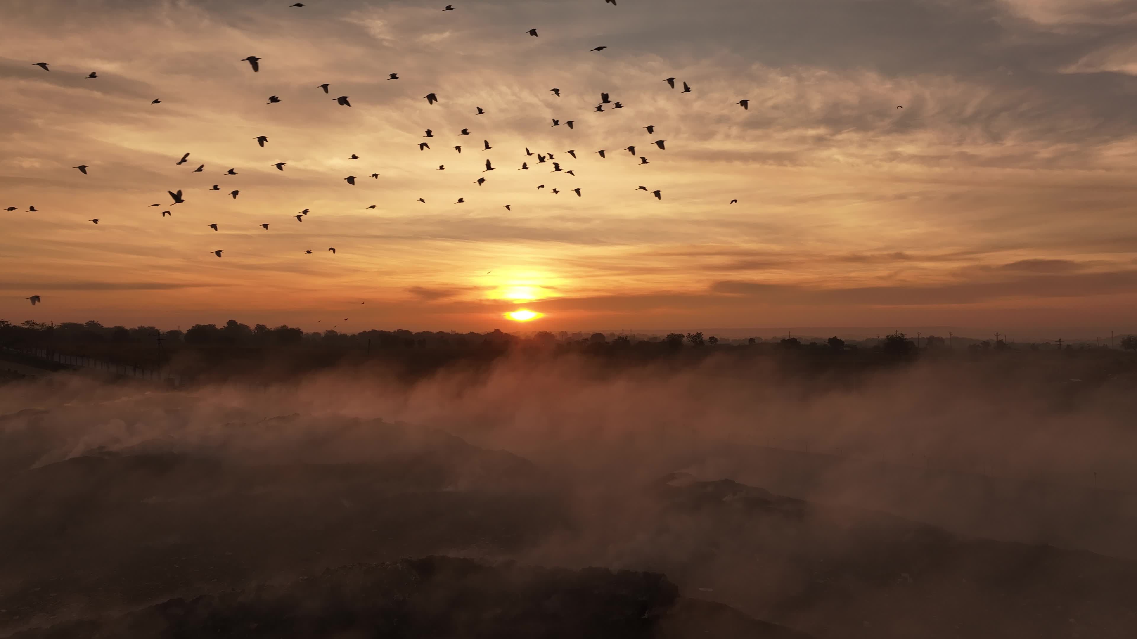 Dramatic Aerial View of Birds at Sunrise Free Stock Video Footage ...