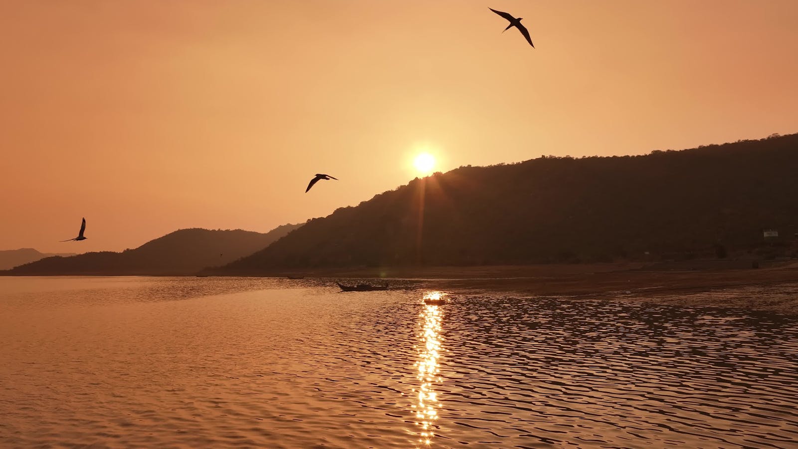 Aesthetic Videos Videos, Download The BEST Free 4k Stock Video Footage ...