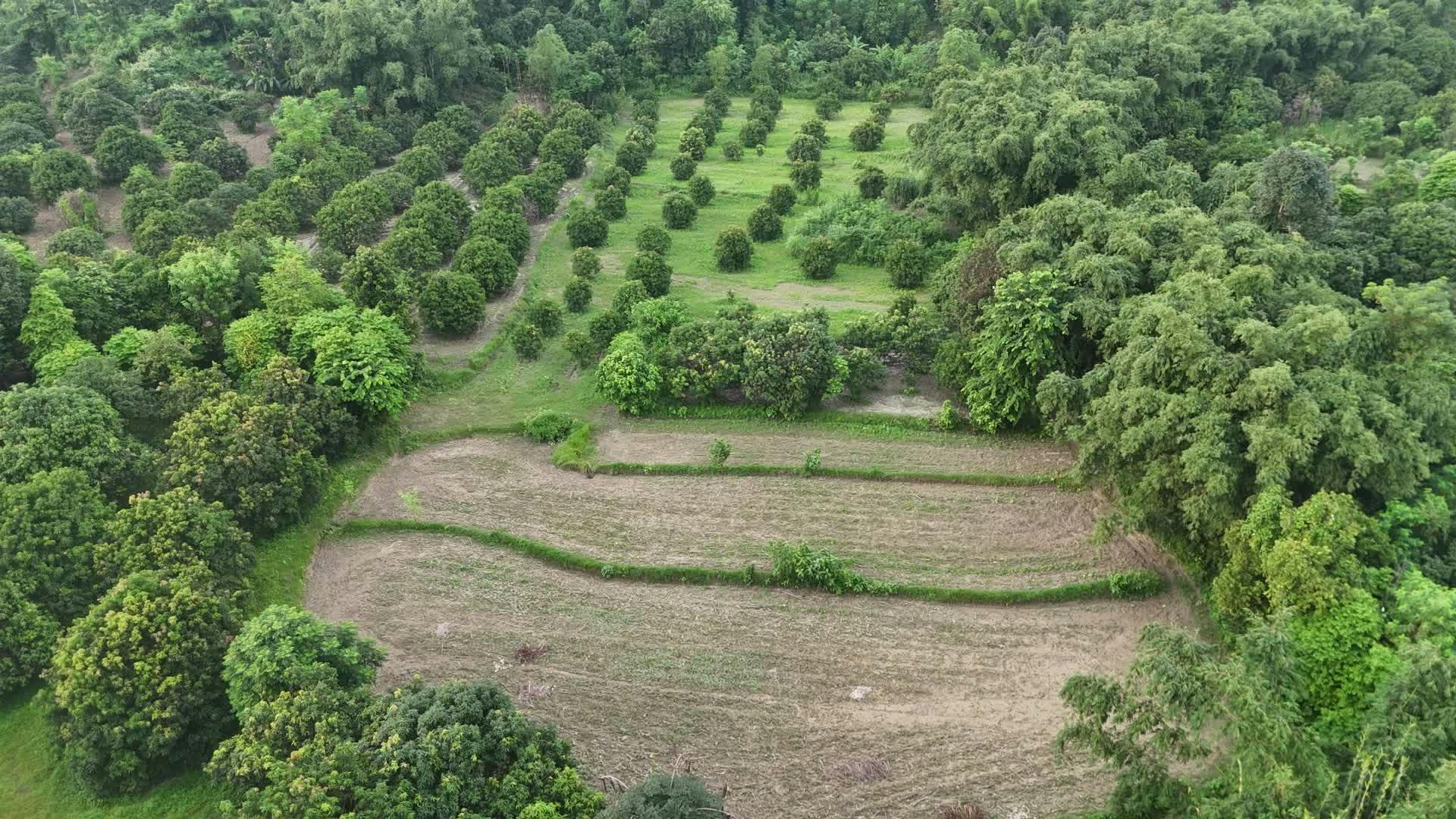 Sarah+Arabic+Free+Use Videos, Download The BEST Free 4k Stock Video ...