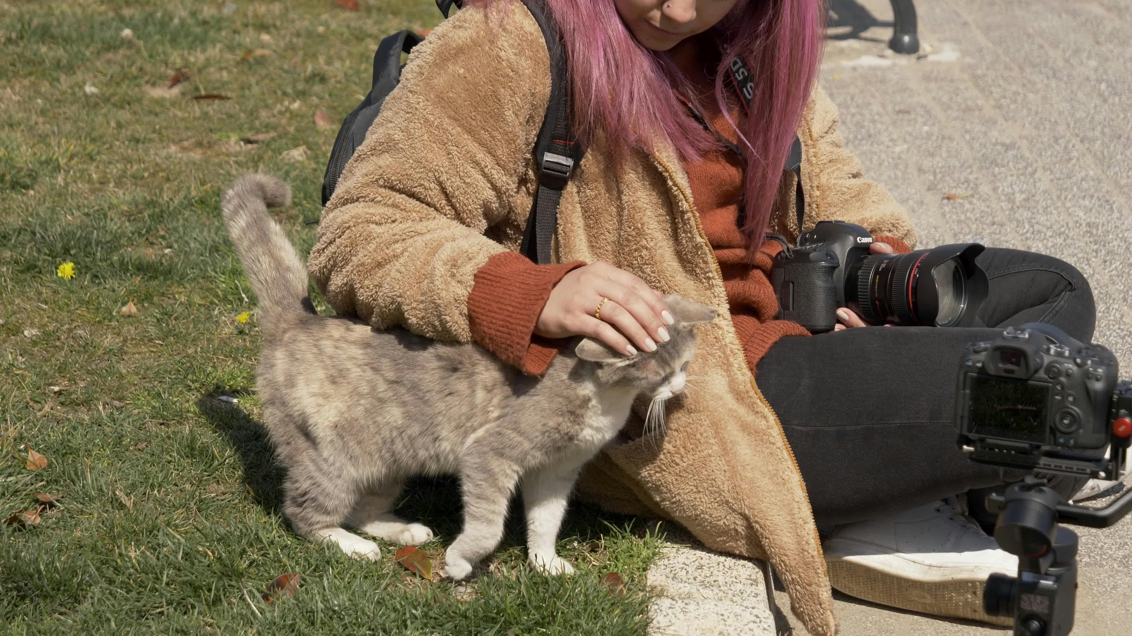 Girls+Clapping+There+Ass Videos, Download The BEST Free 4k Stock Video ...